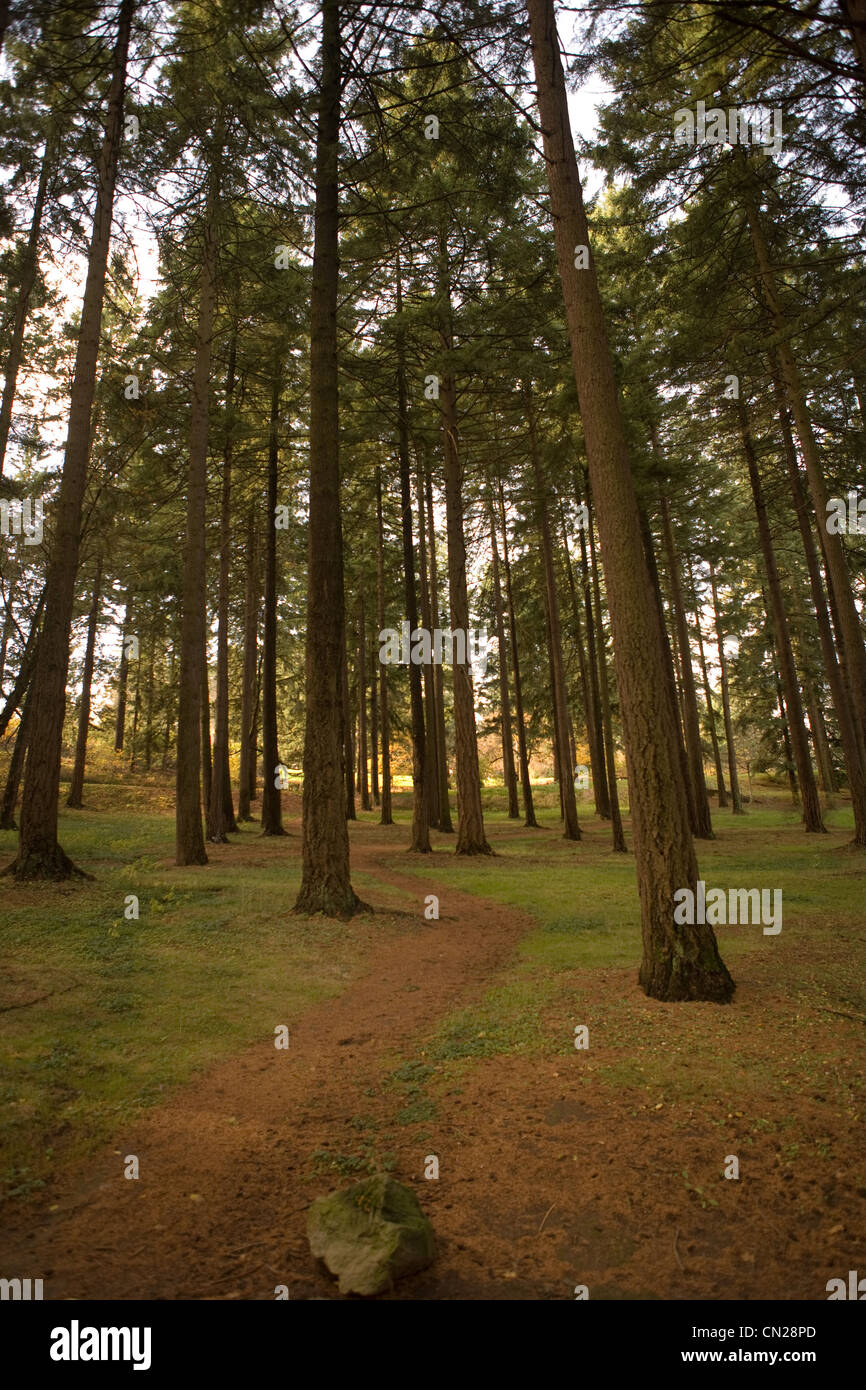 Visual path hi-res stock photography and images - Alamy