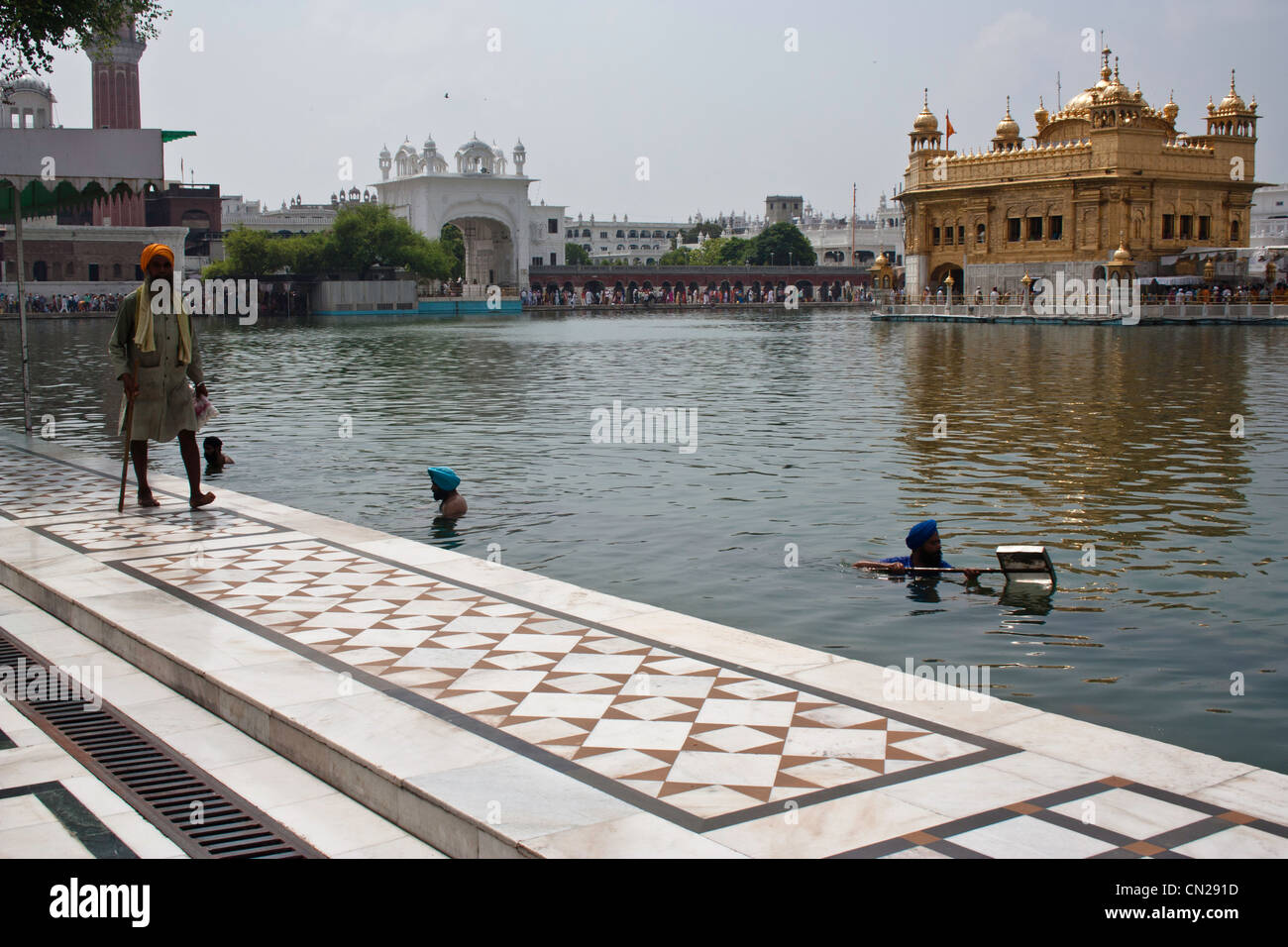 Cleaning the sarovar inside the Golden temple reservoir. This work is ...