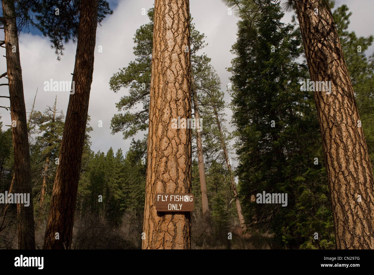 Typography fishing hi-res stock photography and images - Alamy