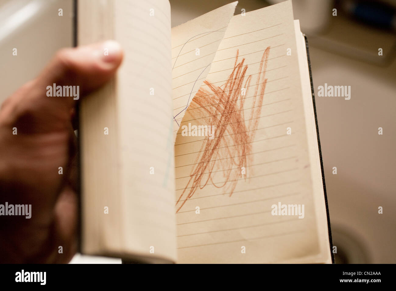 Person holding notebook with scribble Stock Photo - Alamy