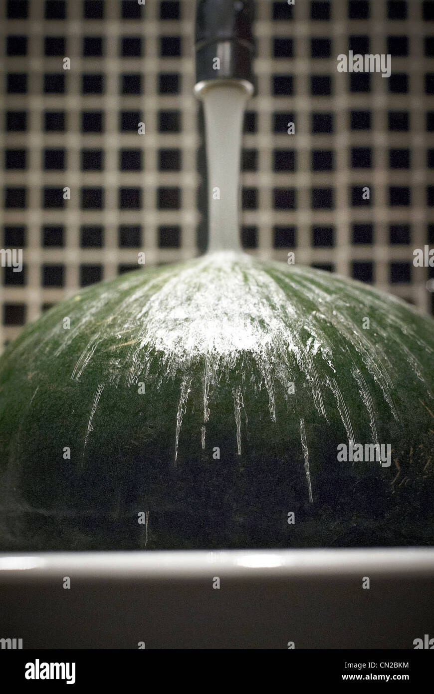 Watermelon under running water in a sink Stock Photo - Alamy