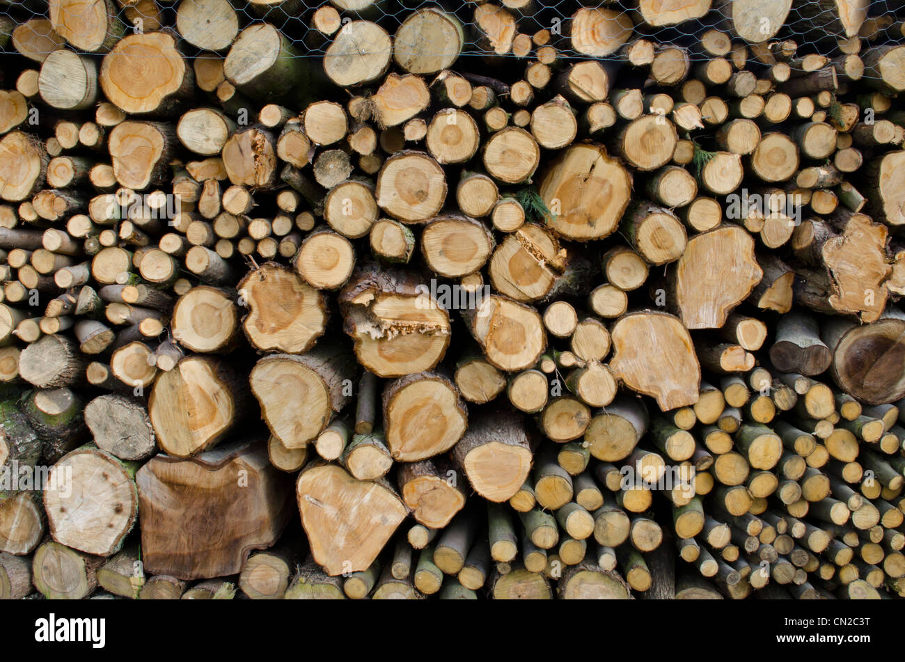 Square cut trees hi-res stock photography and images - Alamy