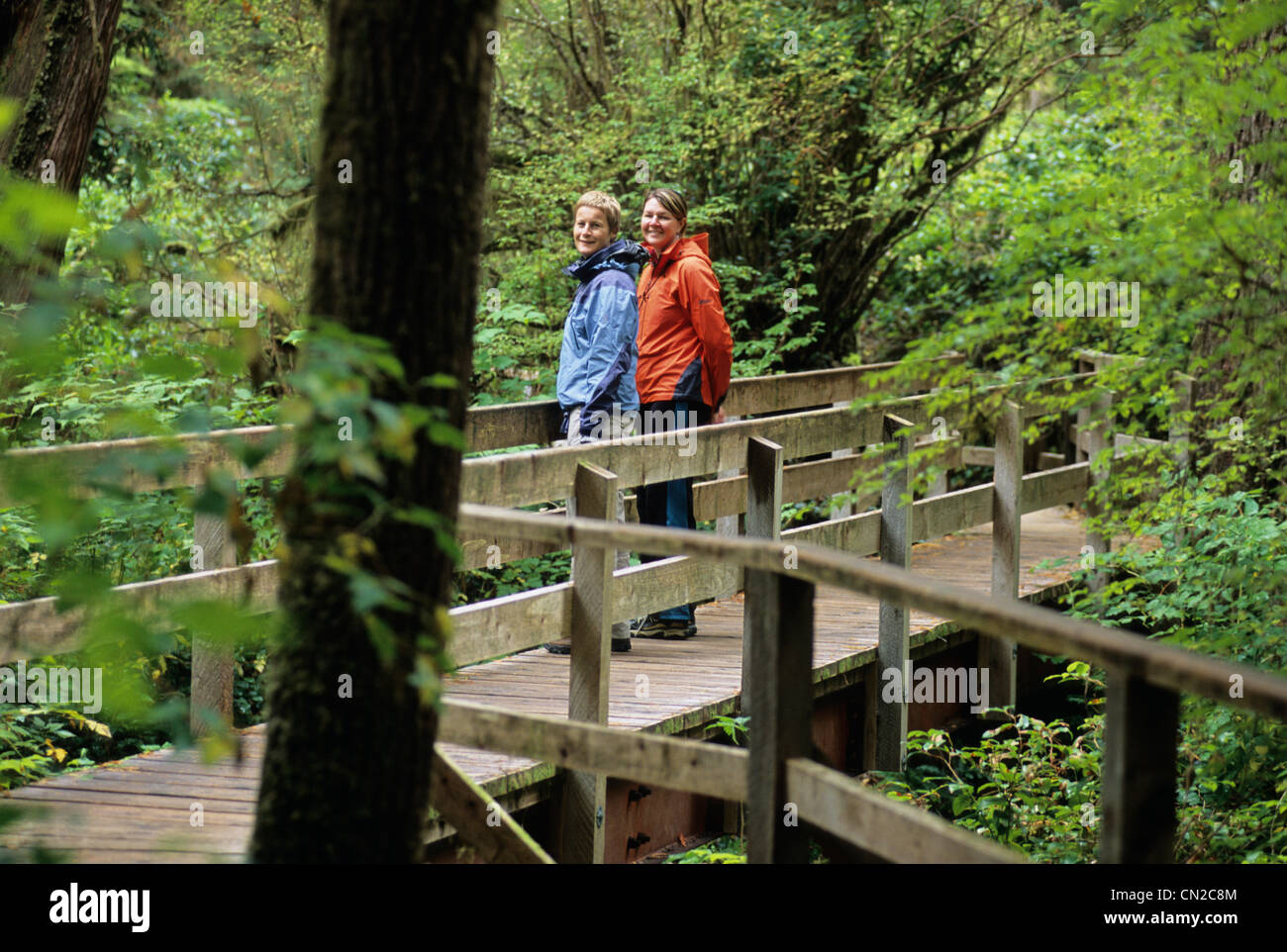 Hikers Standing on a Bridge in Pacific Rim National Park, Tofino ...