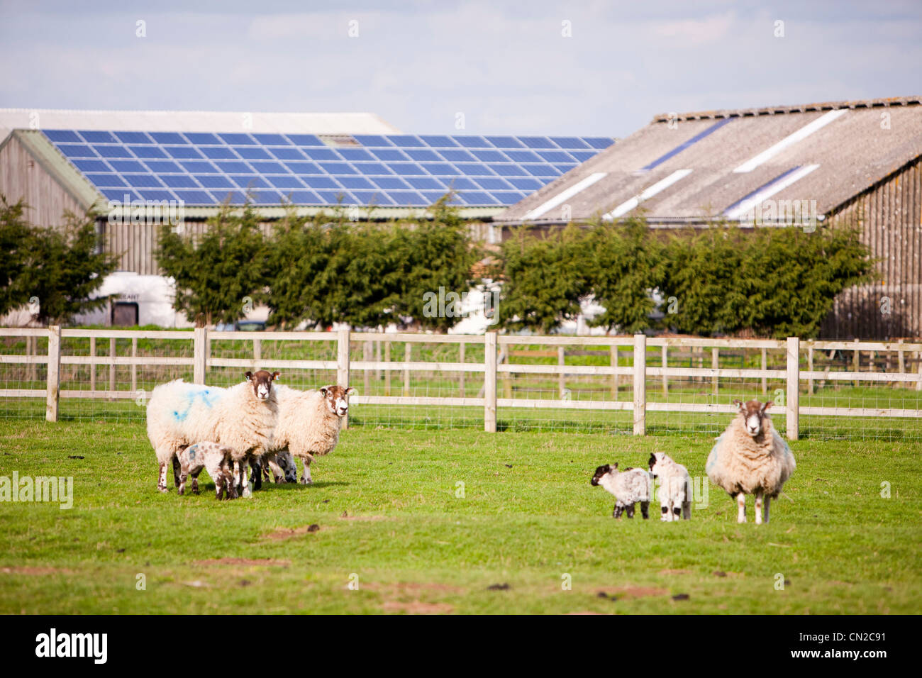 Solar panel barn hi-res stock photography and images - Alamy