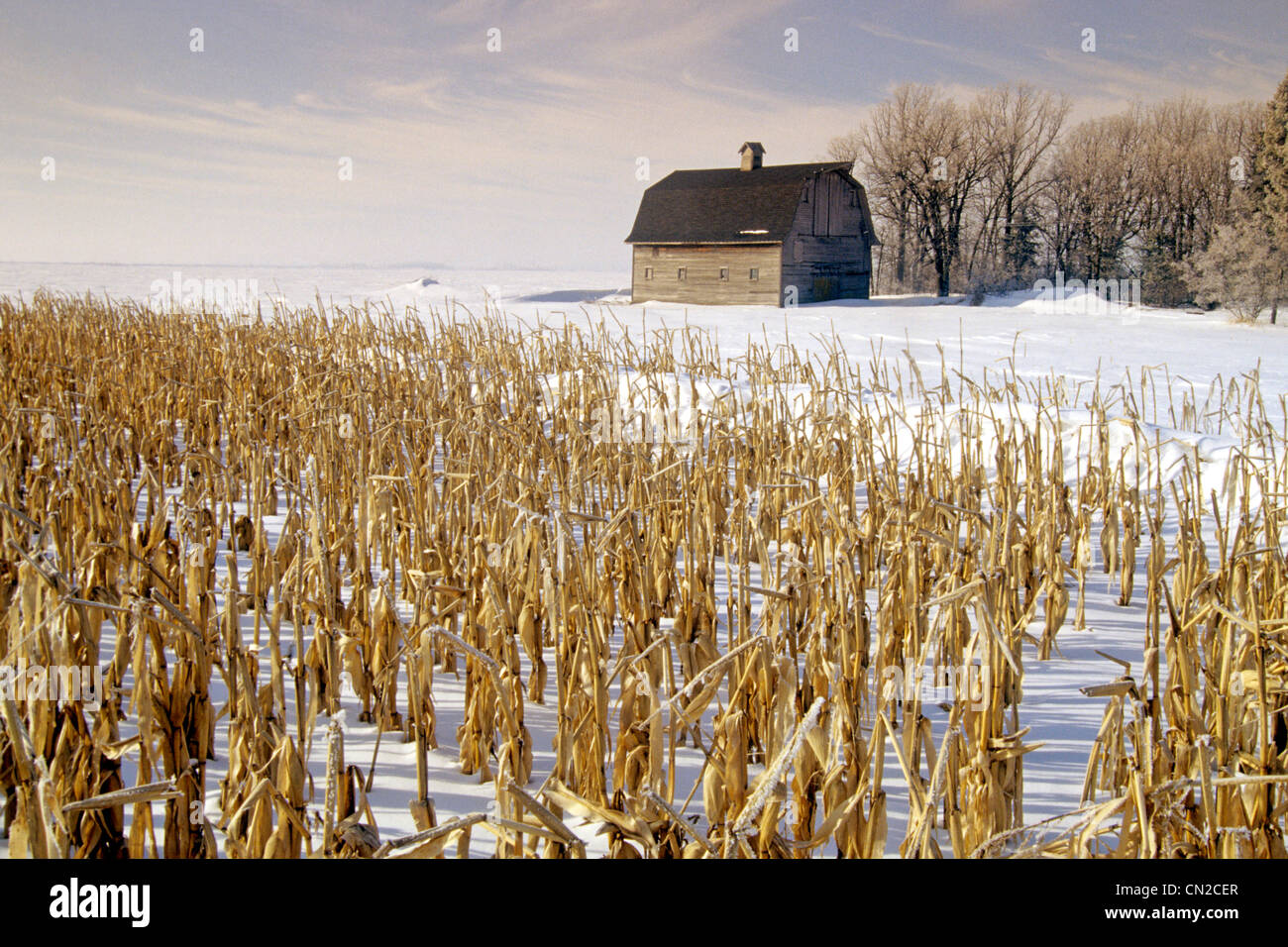 Corn field barn hi-res stock photography and images - Alamy