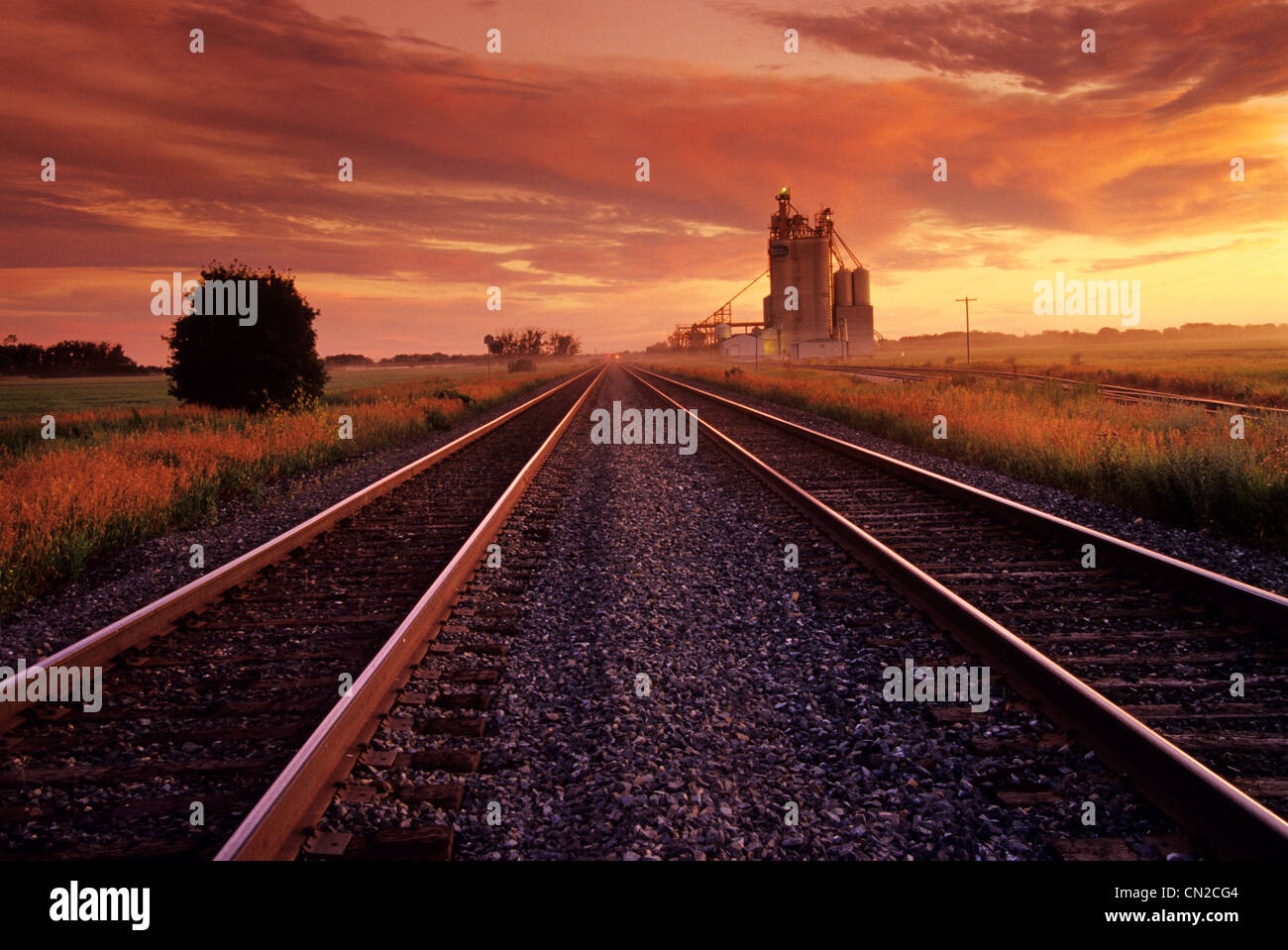 Double Rail Track and Inland Grain Terminal, near Portage la Prairie ...