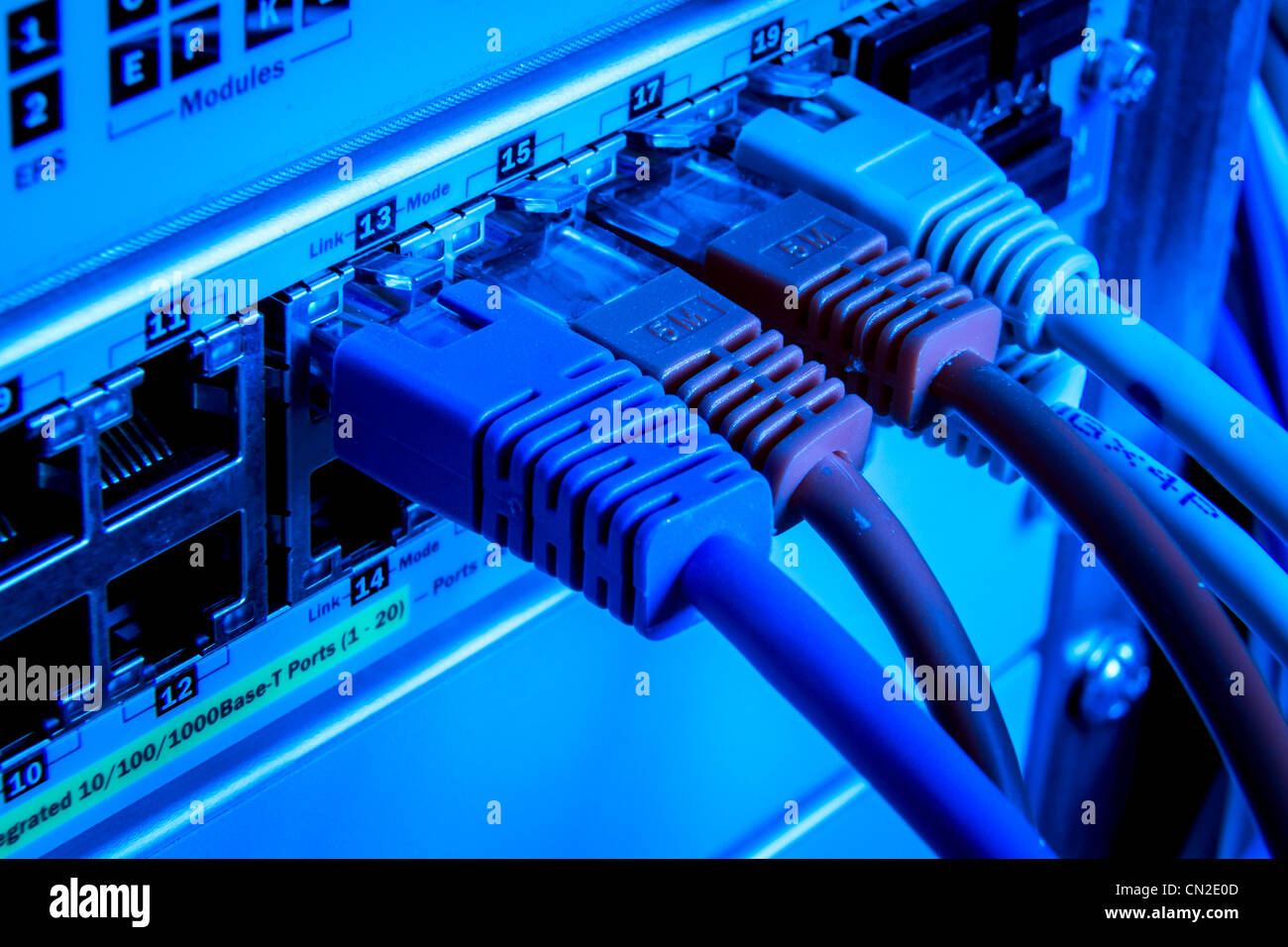 close up of network cables connected to switch Stock Photo - Alamy