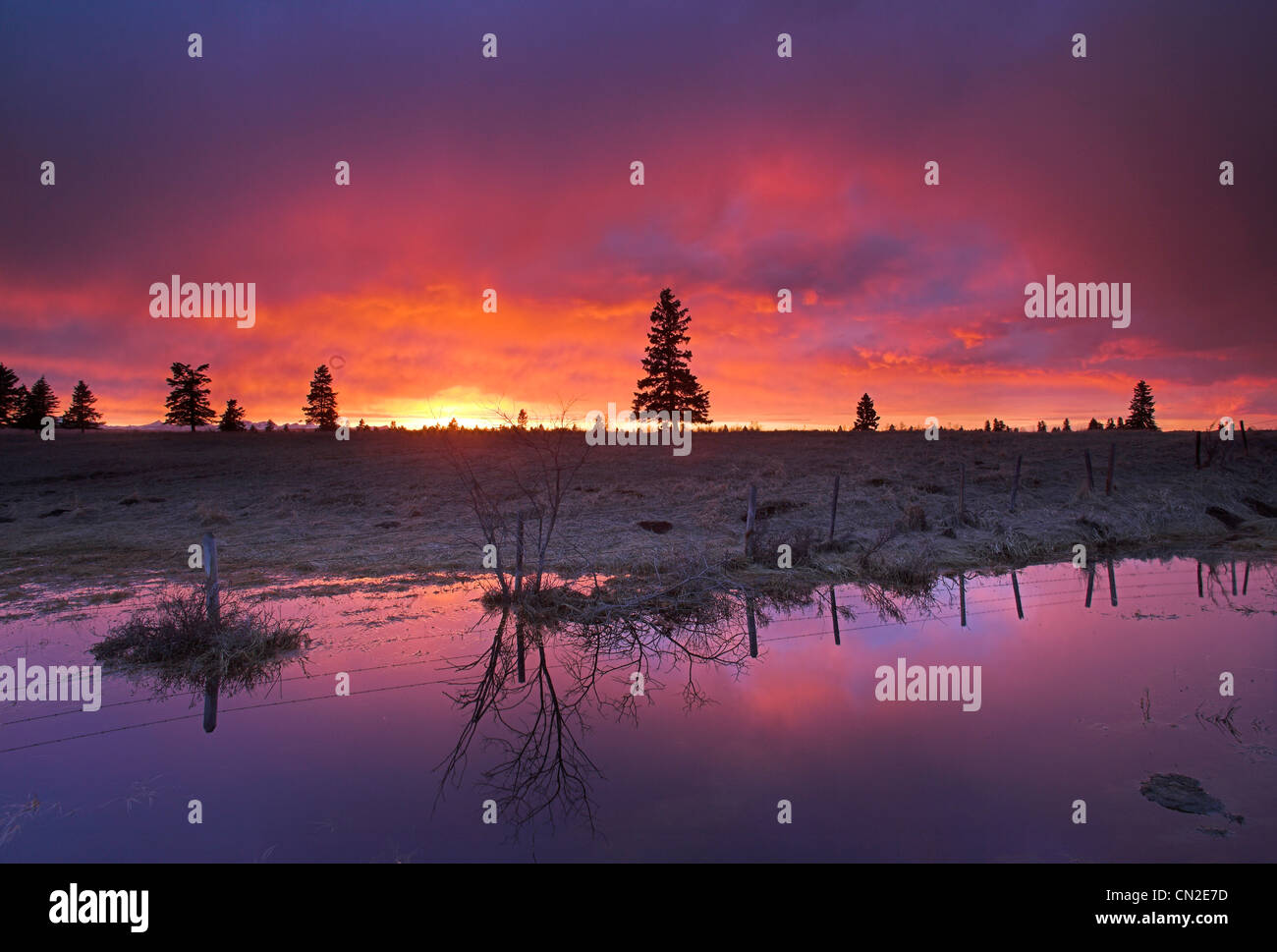 Cochrane photography hi-res stock photography and images - Alamy
