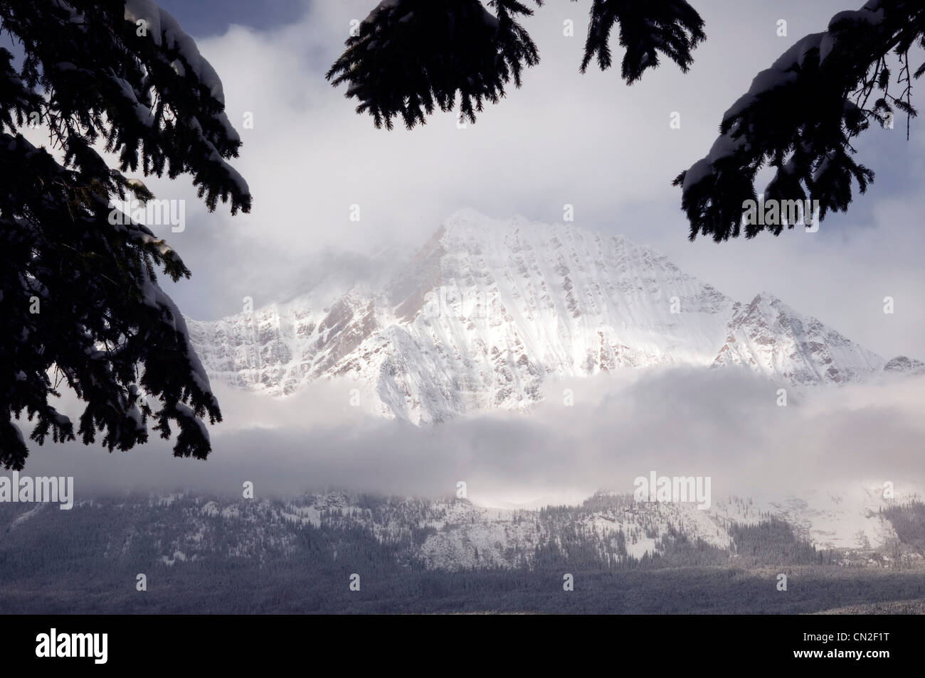 Mount Christie, Jasper National Park, Alberta, Canada Stock Photo - Alamy