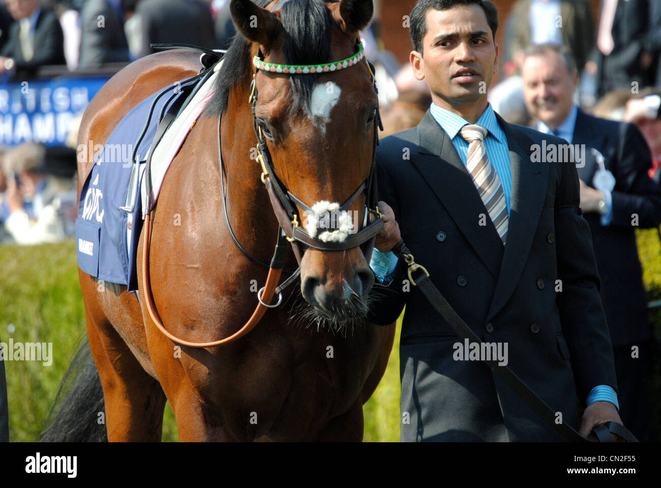 Frankel and horse hi-res stock photography and images - Alamy