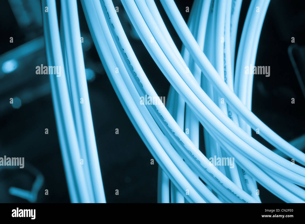 close up of network cables Stock Photo - Alamy