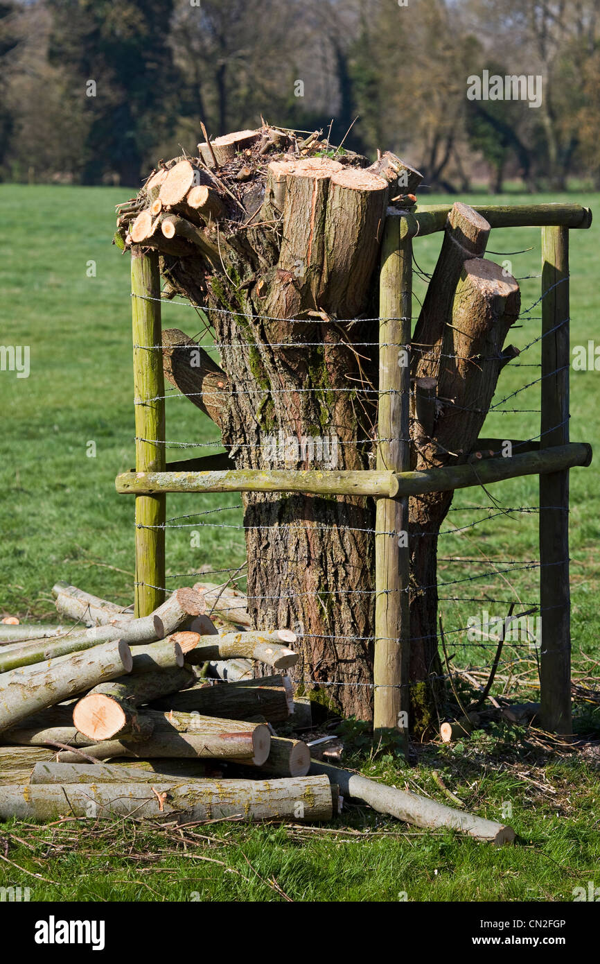 Riverside riverside riverside riverside tree hi-res stock photography ...