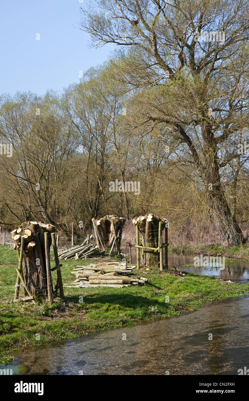 Riverside riverside riverside riverside tree hi-res stock photography ...