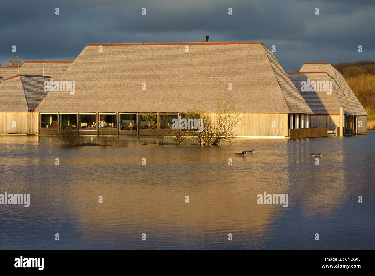 The Brockholes Nature Reserve, Preston Stock Photo - Alamy
