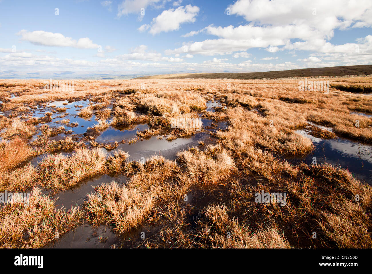 Peat hag hi-res stock photography and images - Alamy