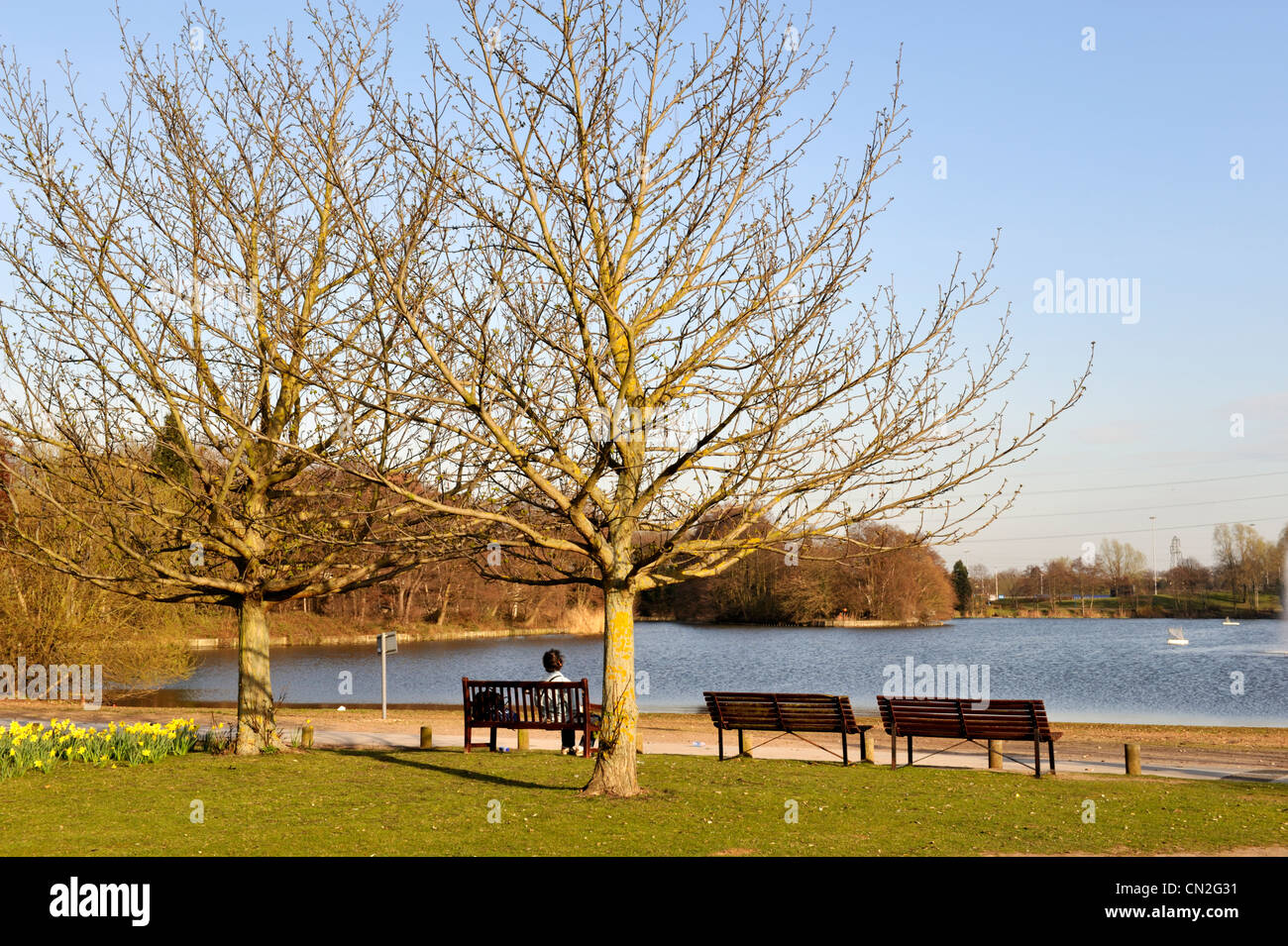 Spring sunshine in park by lake Stock Photo - Alamy