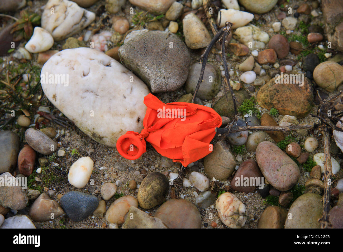 Beach still life Stock Photo - Alamy