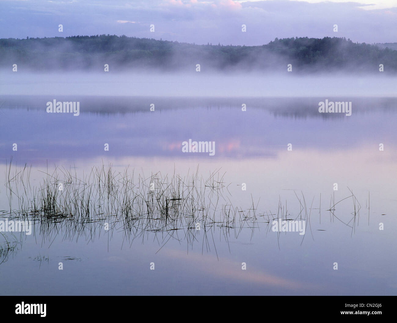 Quetico provincial park hi-res stock photography and images - Alamy