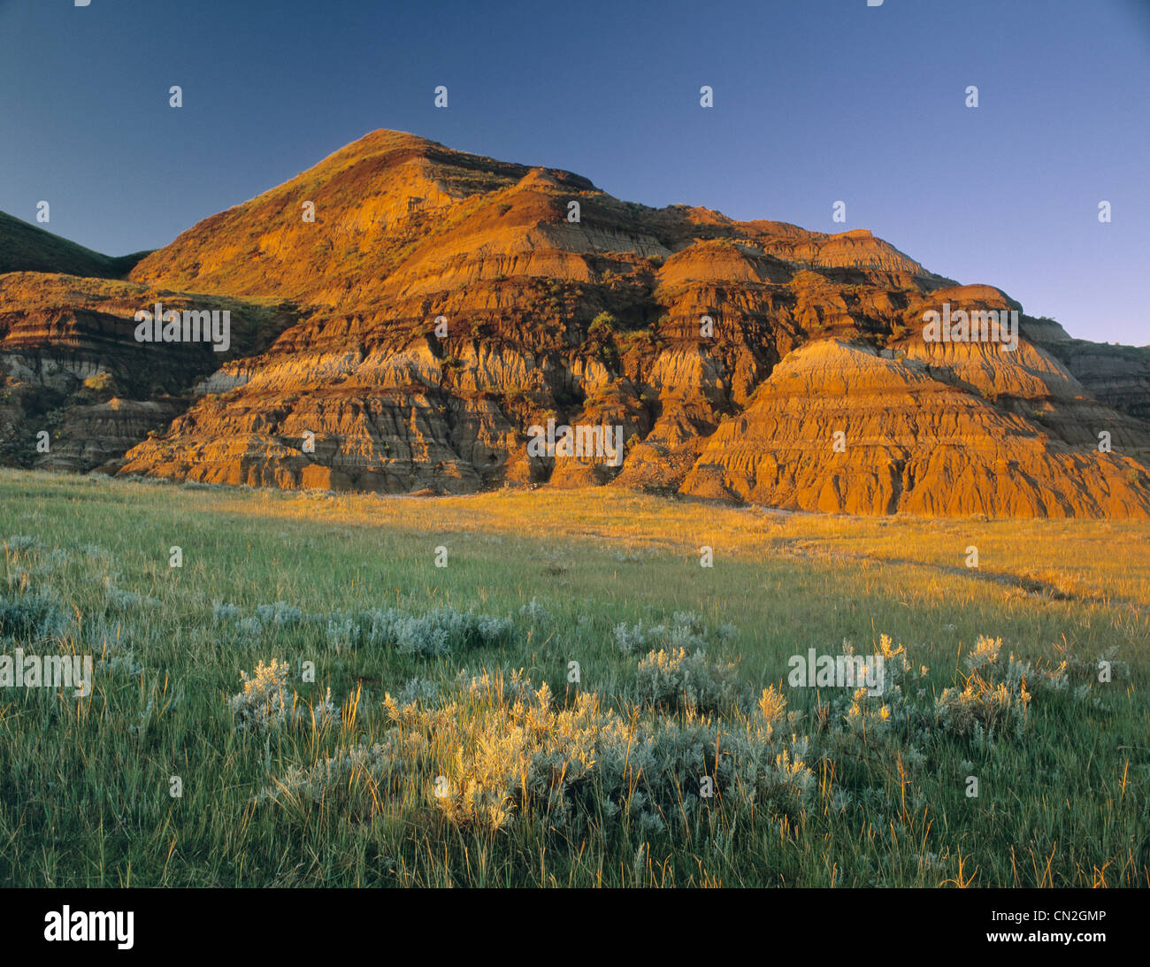 Big muddy badlands hi-res stock photography and images - Alamy