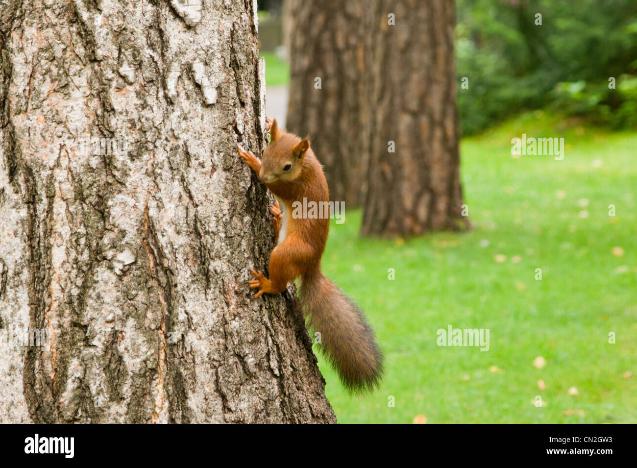 Climbing lane hi-res stock photography and images - Alamy