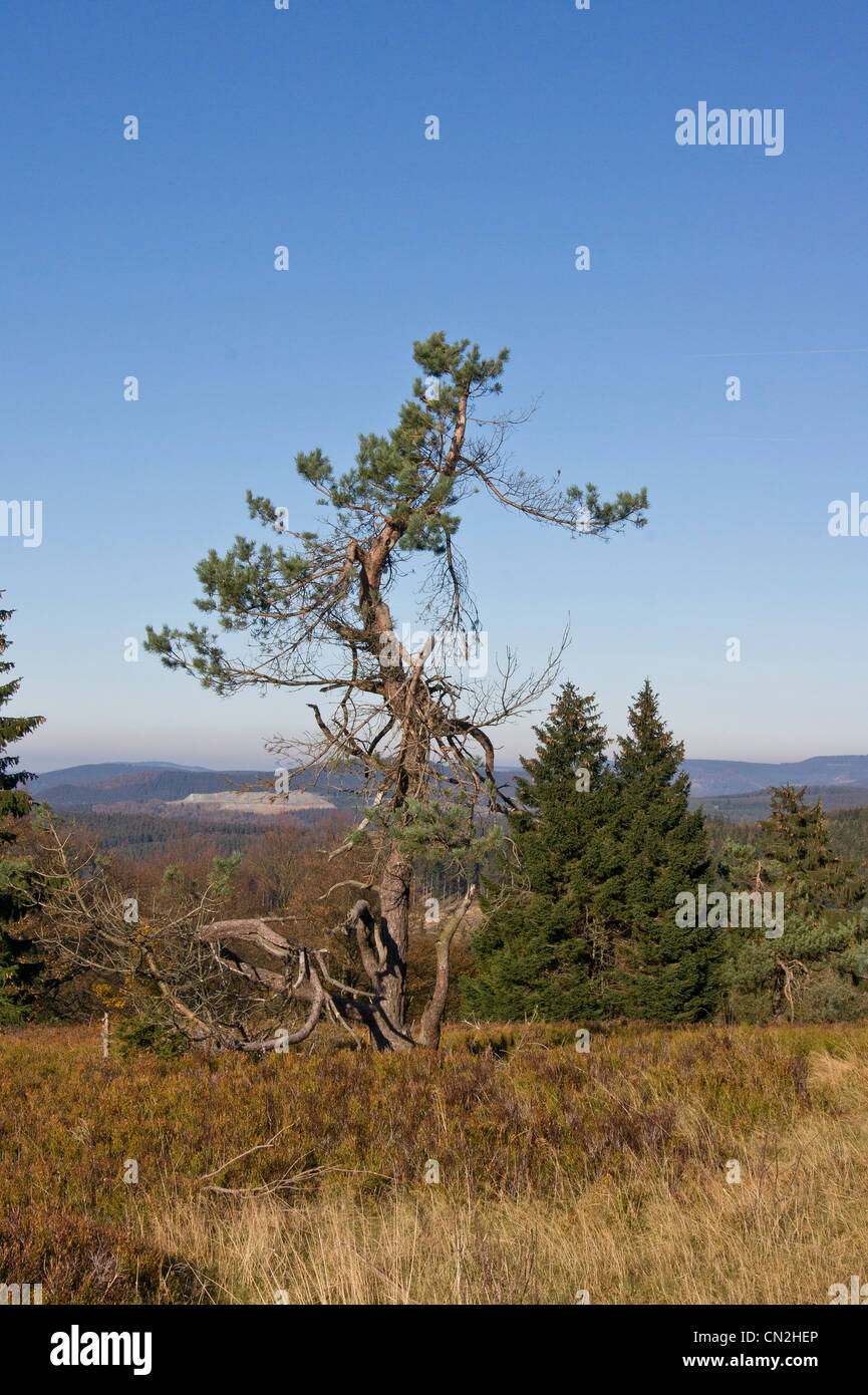 Asten High Resolution Stock Photography and Images - Alamy