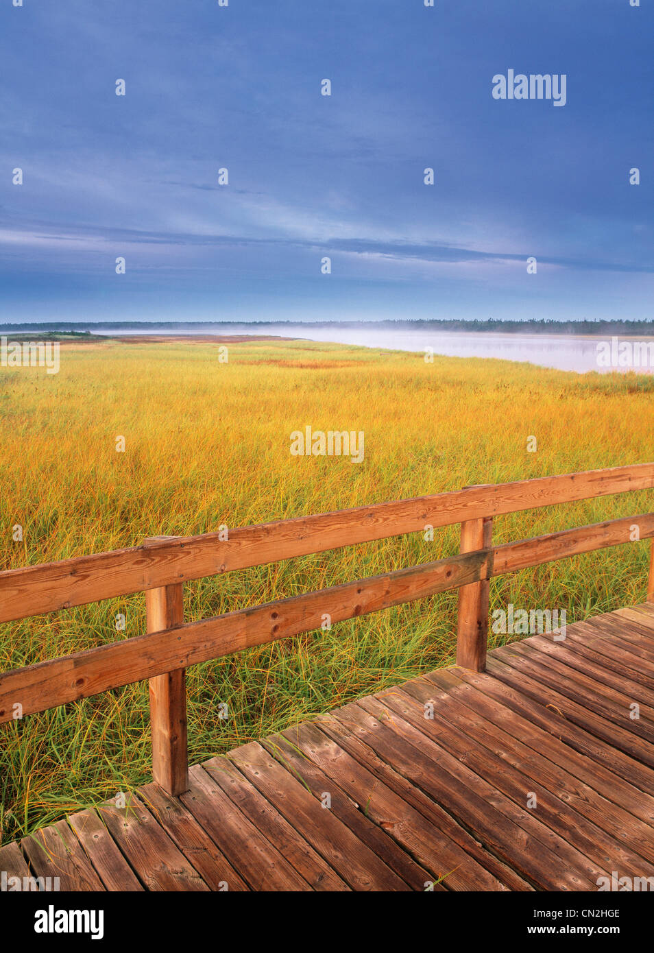 Kellys beach hi-res stock photography and images - Alamy