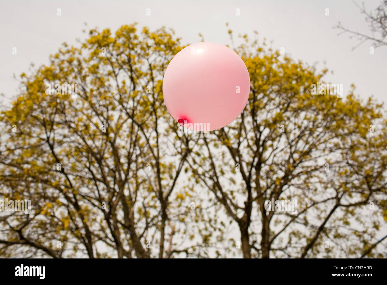 Pink balloon floating towards trees Stock Photo - Alamy