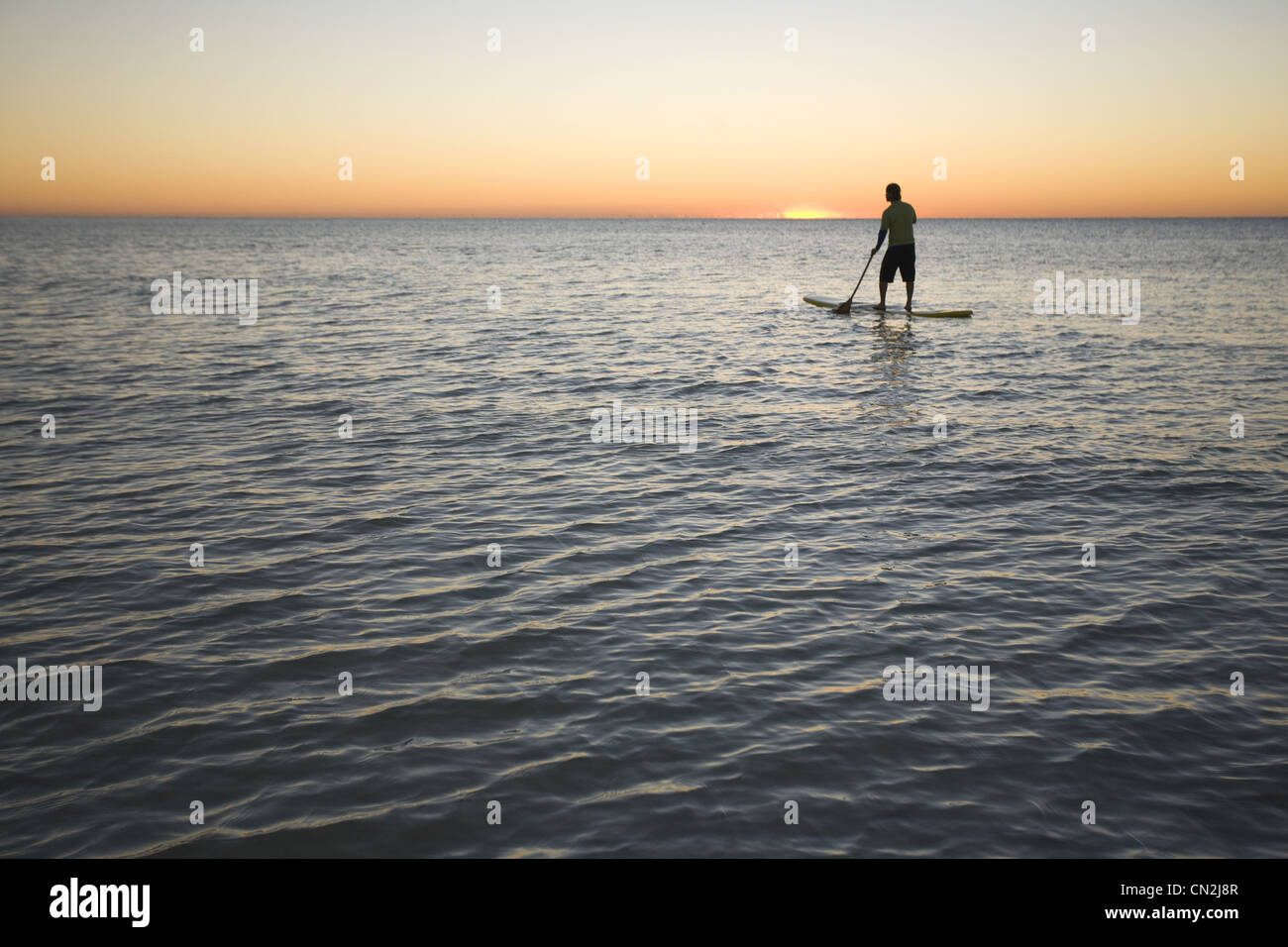 Man Paddleboarding on Ocean at Sunrise, Florida Keys, USA Stock Photo ...