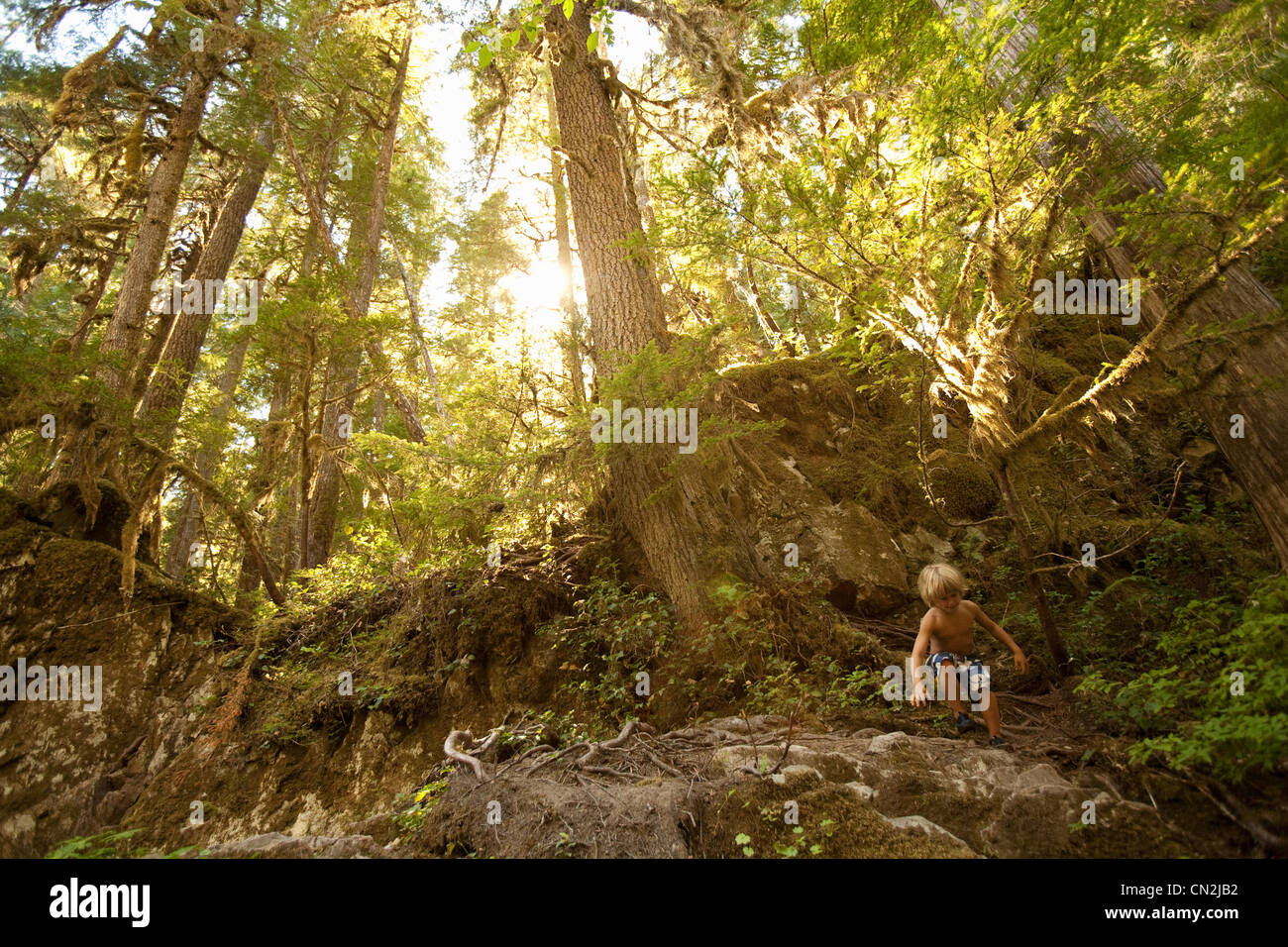 Boy climbing over rocks in forest Stock Photo - Alamy