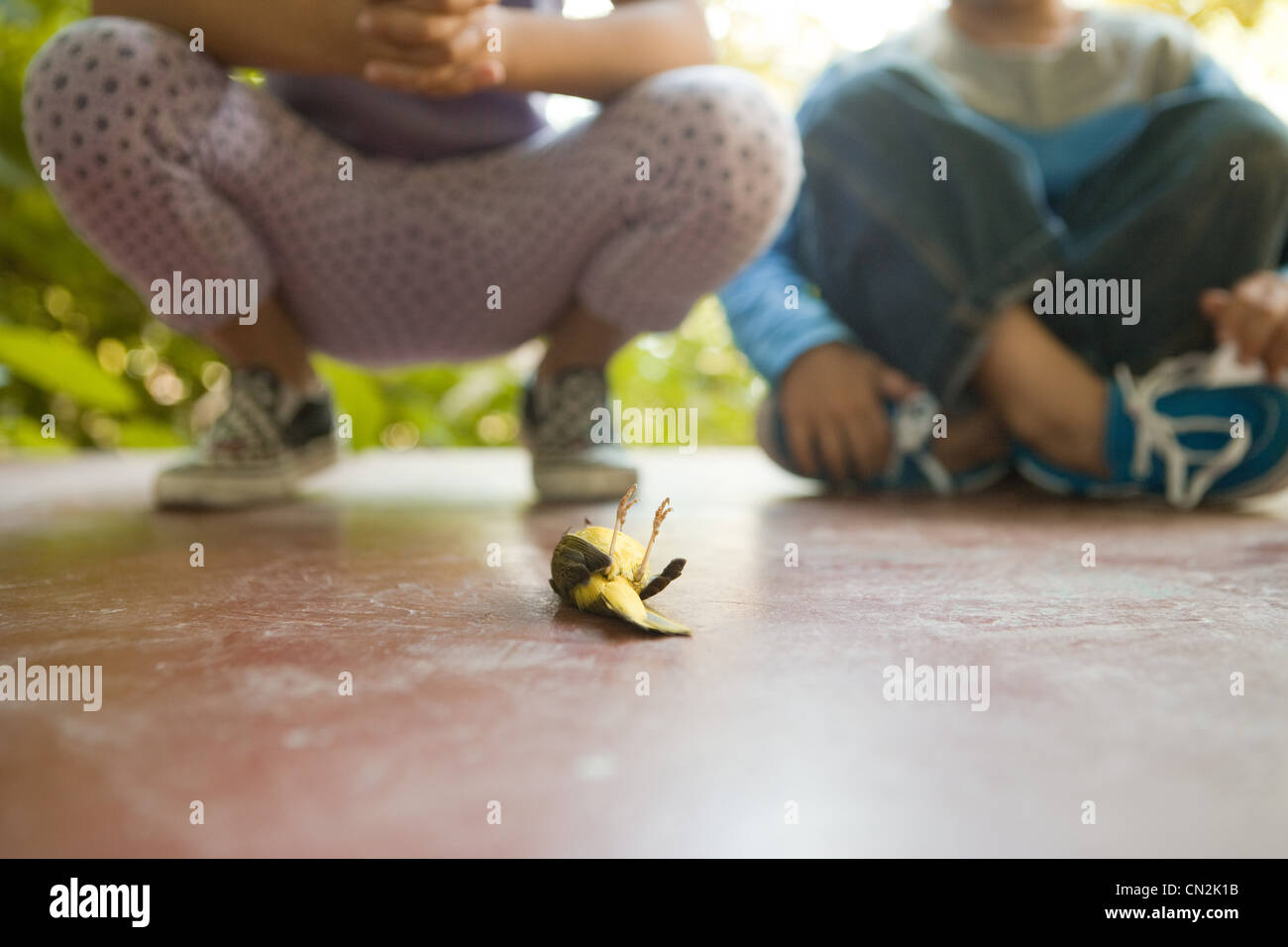 Dead children hi-res stock photography and images - Alamy