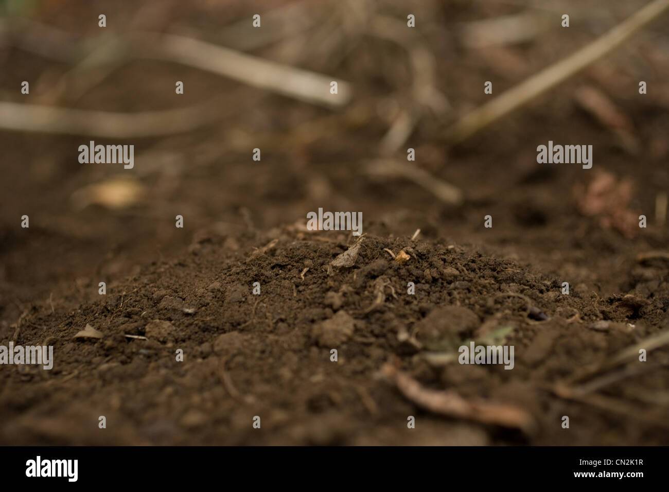 Soil, close up Stock Photo - Alamy