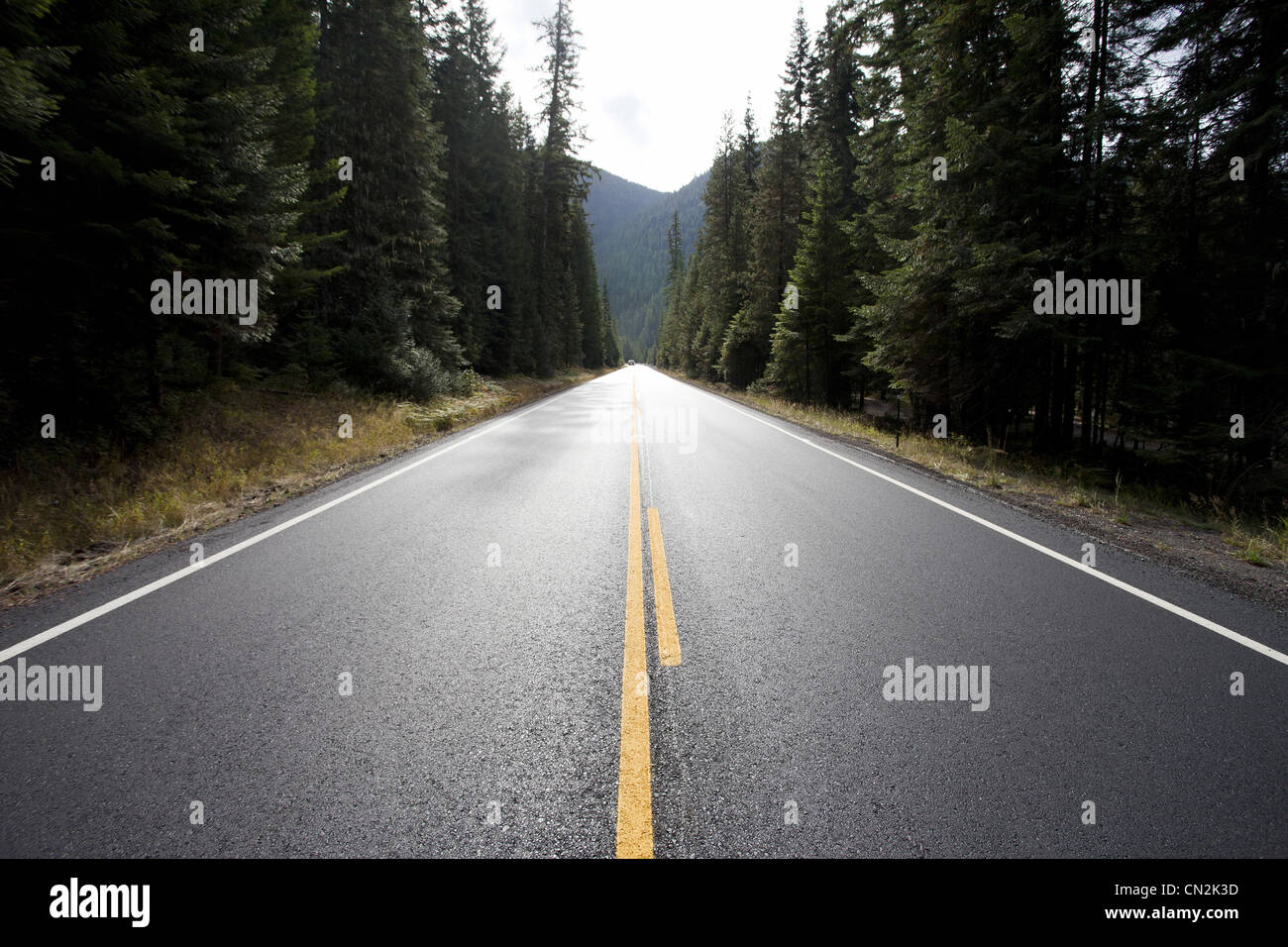 Empty Highway Through Forest, Montana, USA Stock Photo - Alamy