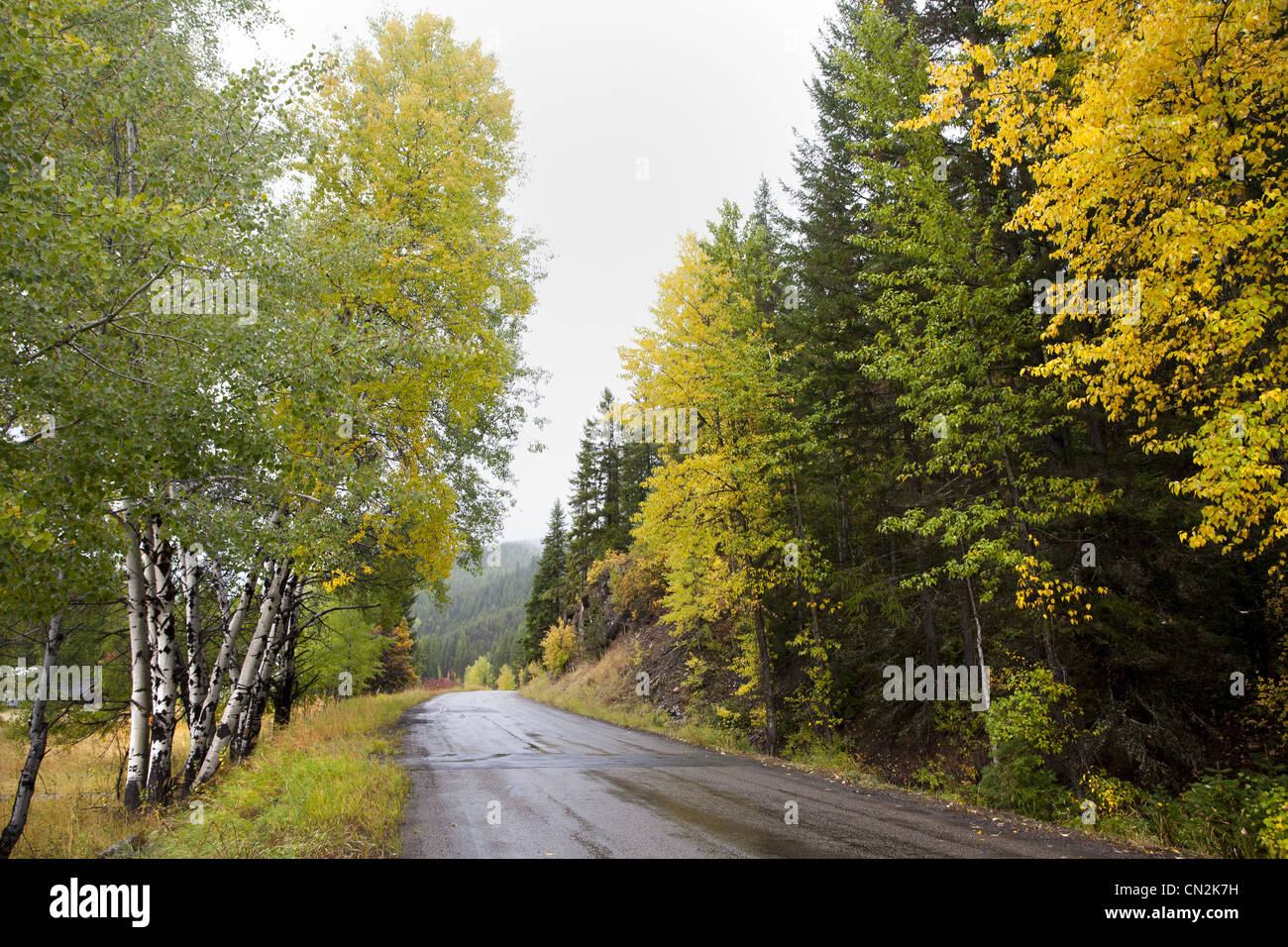 Along rural road hi-res stock photography and images - Alamy