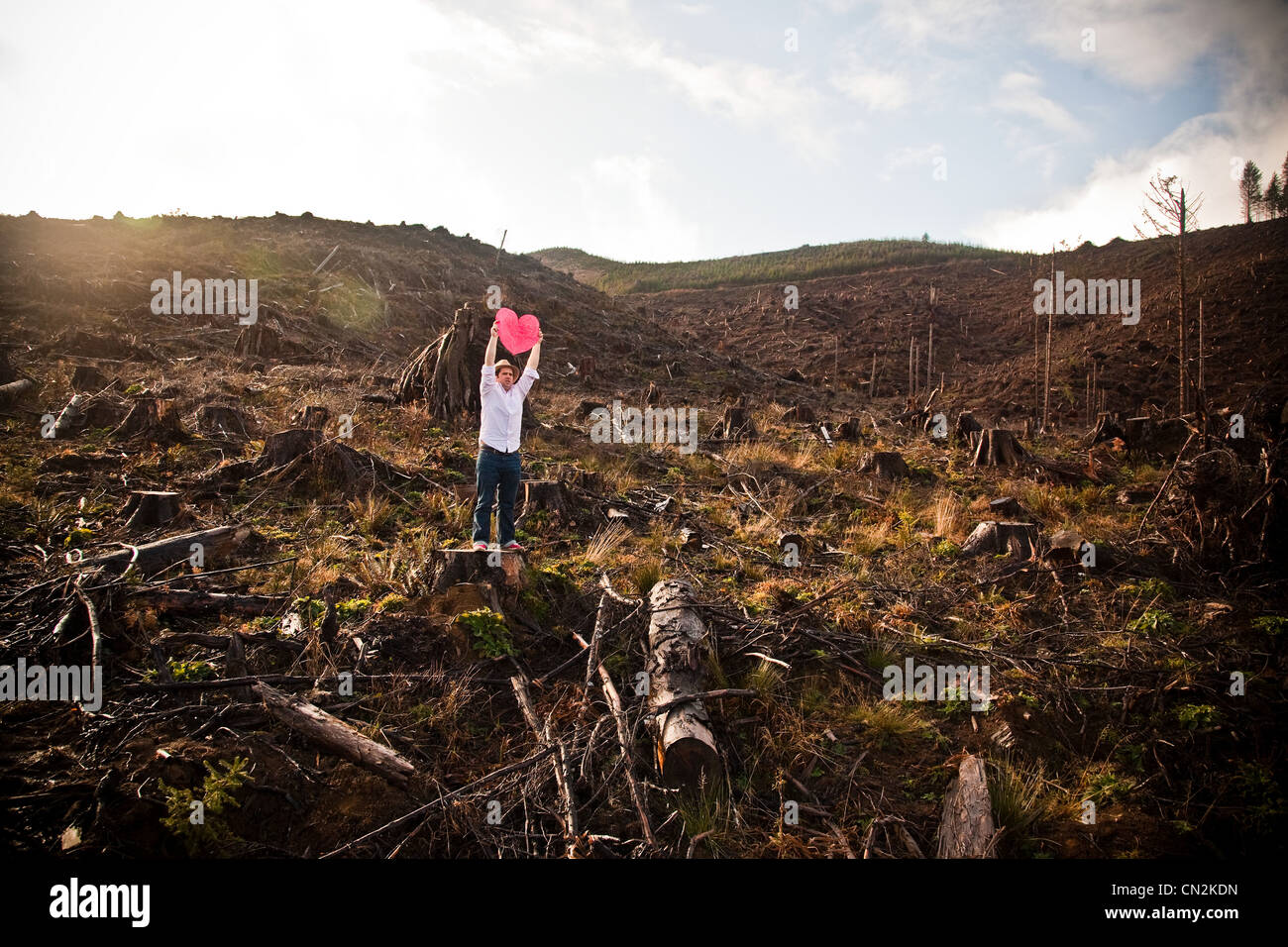 Clearing in forest hi-res stock photography and images - Alamy