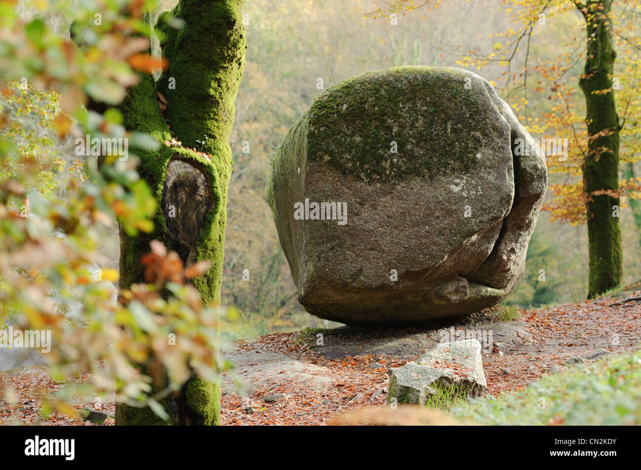 France, Finistere, Parc Naturel Regional d'Armorique (Armorique Natural ...