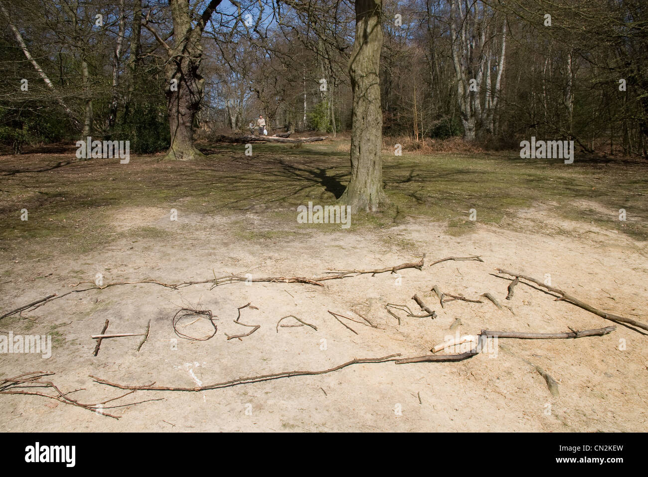 Epping Forest ancient trees royal woodland Stock Photo - Alamy