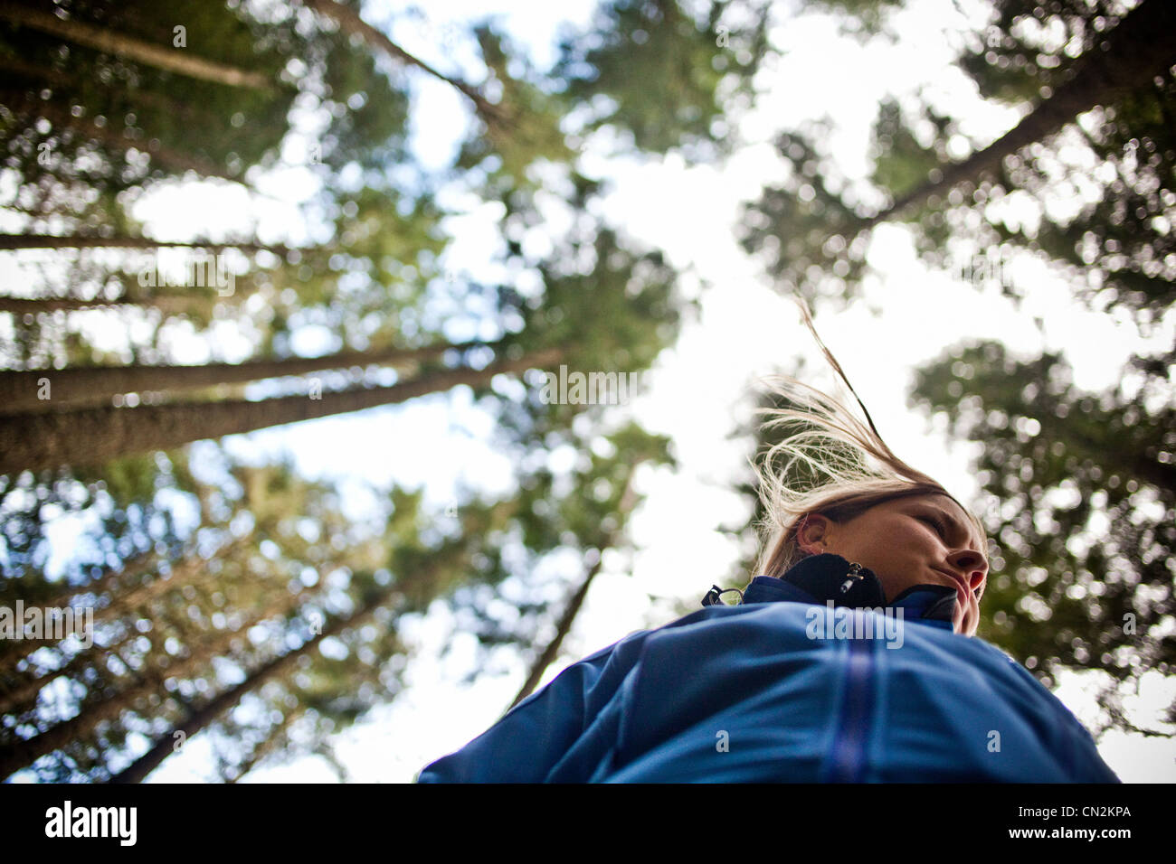 Mid size trees hi-res stock photography and images - Alamy