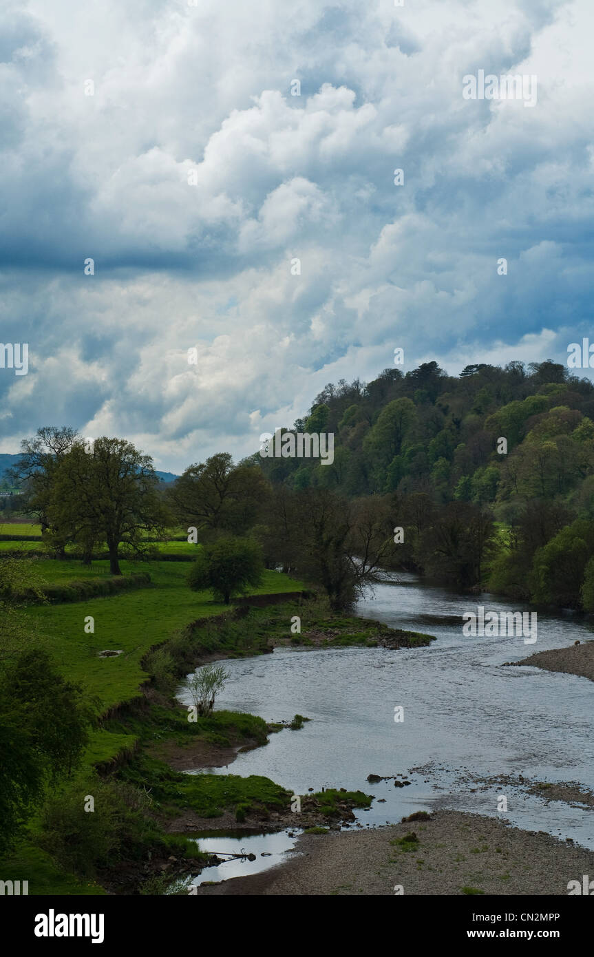 River Towy, Llandeilo, South Wales Stock Photo - Alamy
