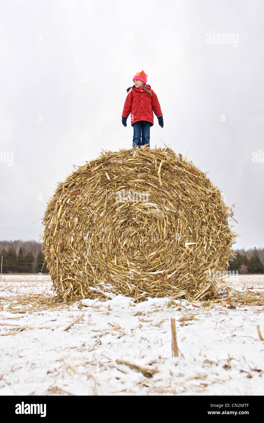 Bale of corn hi-res stock photography and images - Alamy