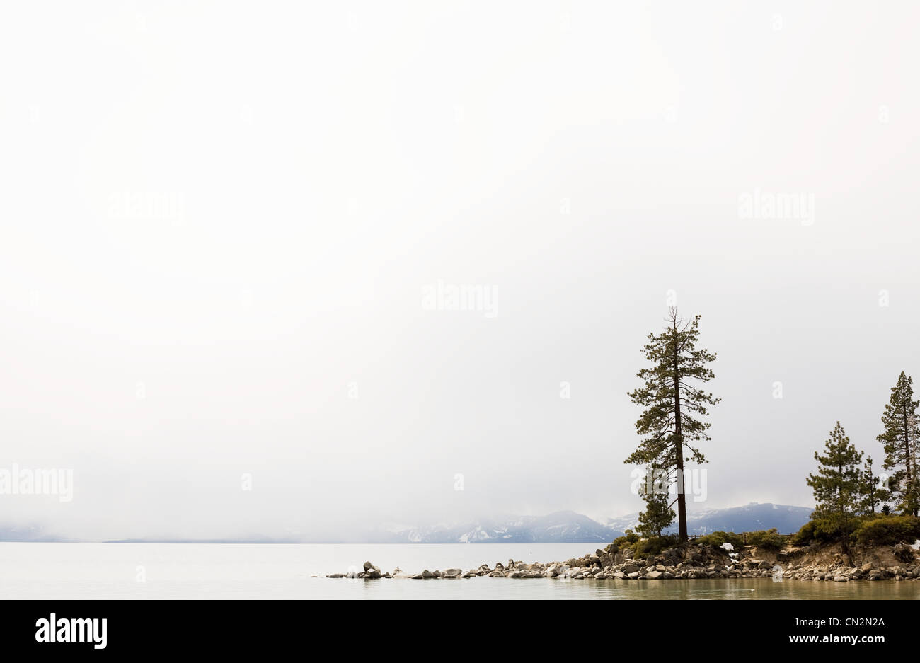 Fir trees at lake tahoe hi-res stock photography and images - Alamy