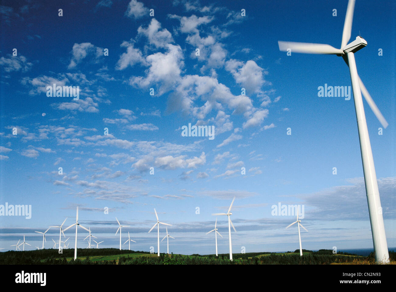 Cap chat hi-res stock photography and images - Alamy