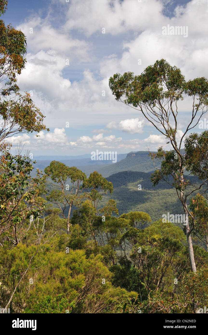 View through trees of The Jamison Valley, Blue Mountains, New South ...