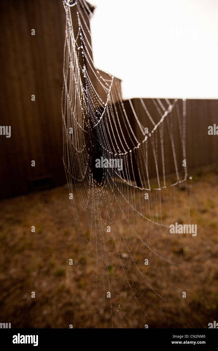 Delicate visual effect hi-res stock photography and images - Alamy