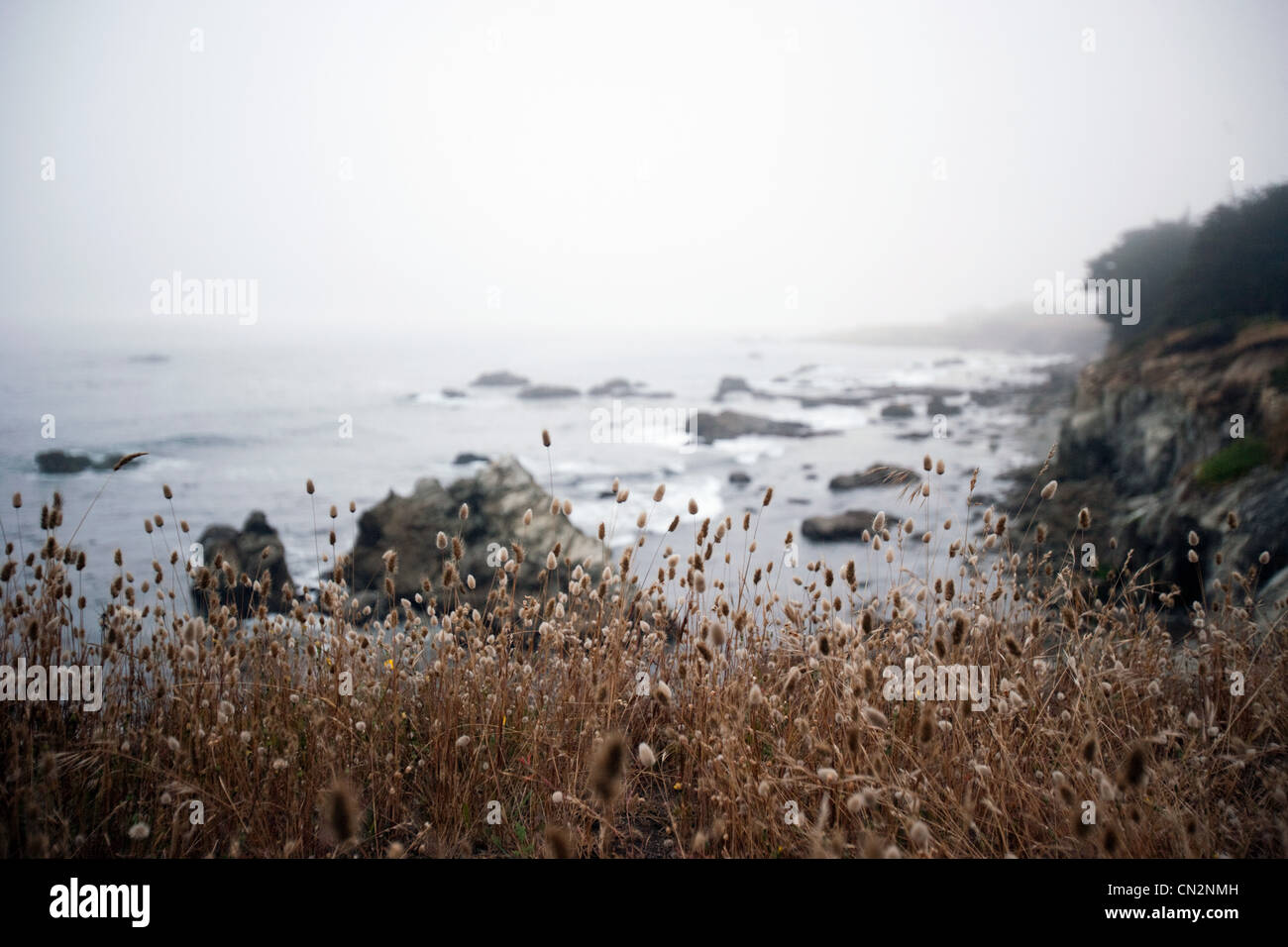Seascape with hi-res stock photography and images - Alamy