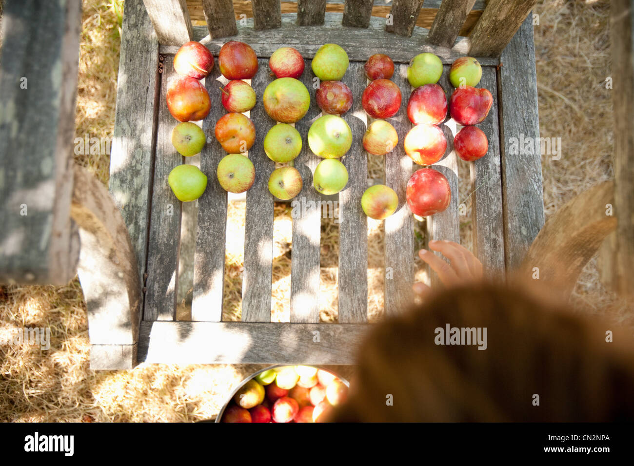 Row apples overhead hi-res stock photography and images - Alamy