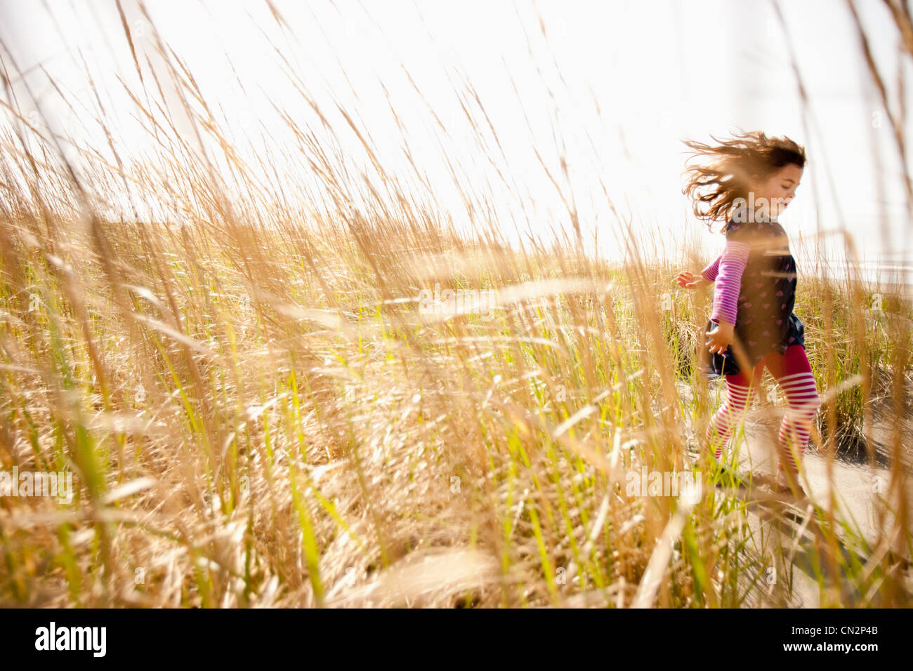 Running through grass hi-res stock photography and images - Alamy