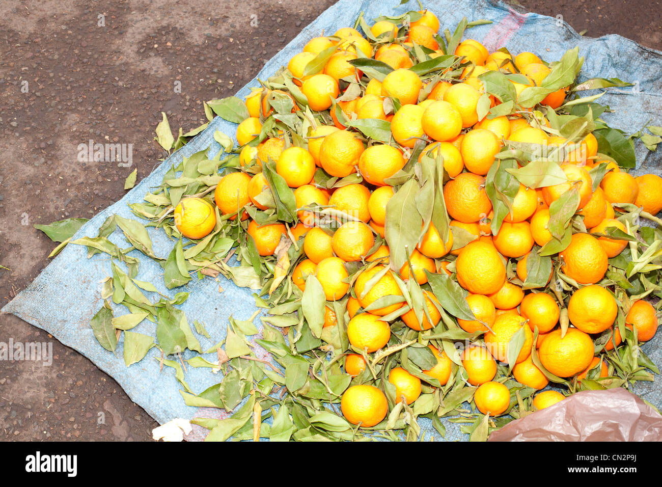 Picked freshly orange hi-res stock photography and images - Alamy