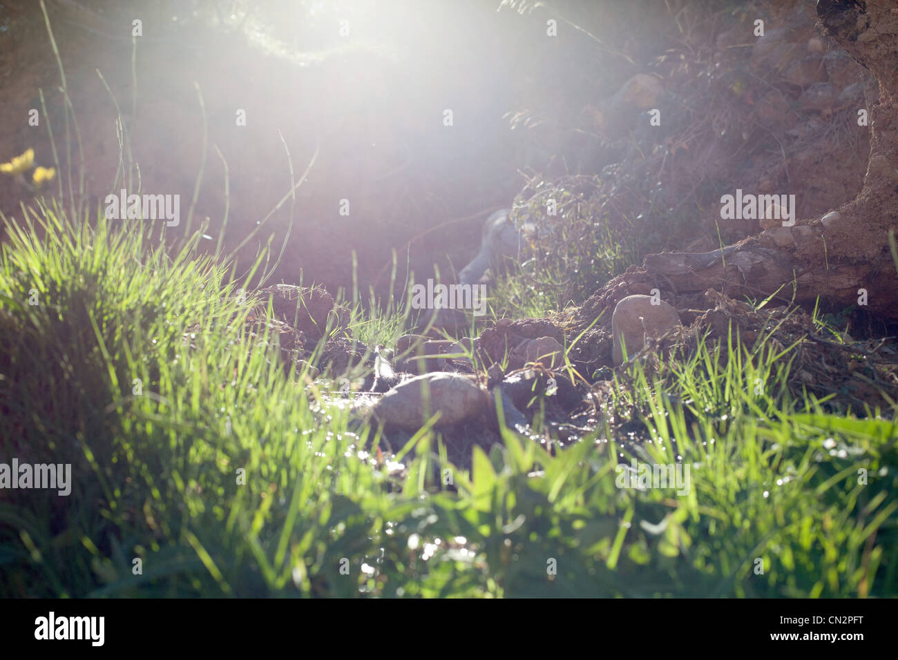 Sunlight rocks hi-res stock photography and images - Alamy