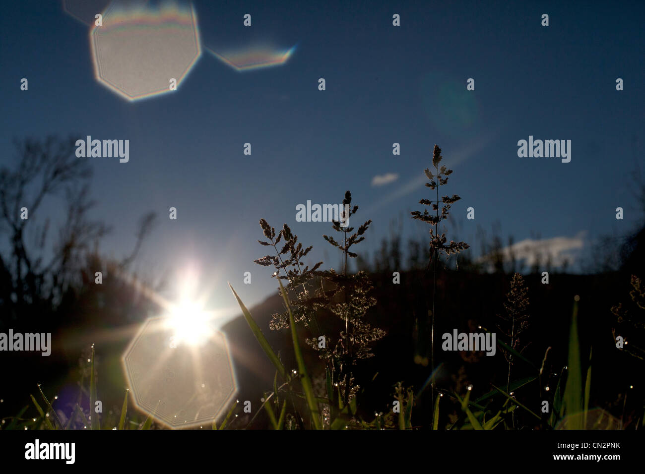 Meadow landform hi-res stock photography and images - Alamy