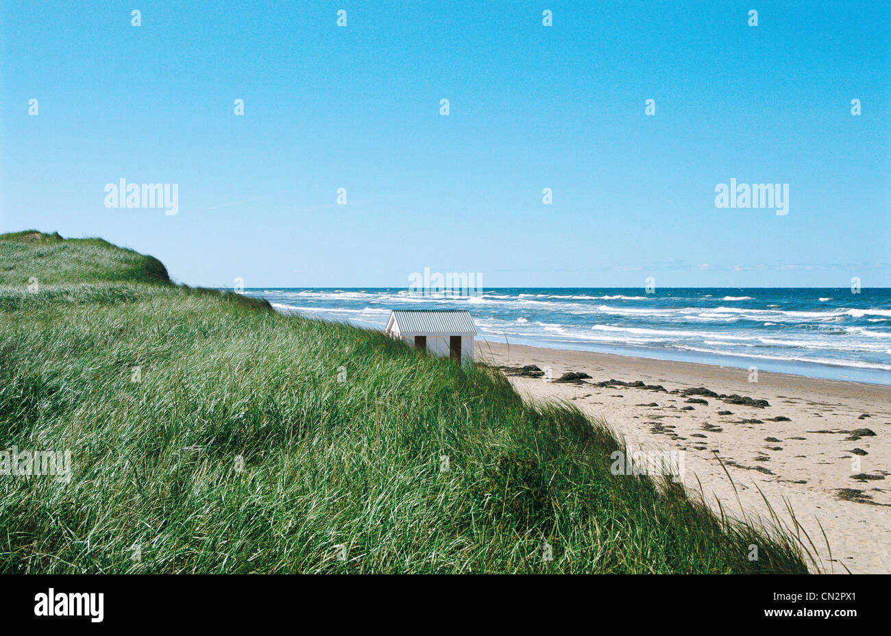 Beach, Greenwich, Prince Edward Island National Park Stock Photo - Alamy